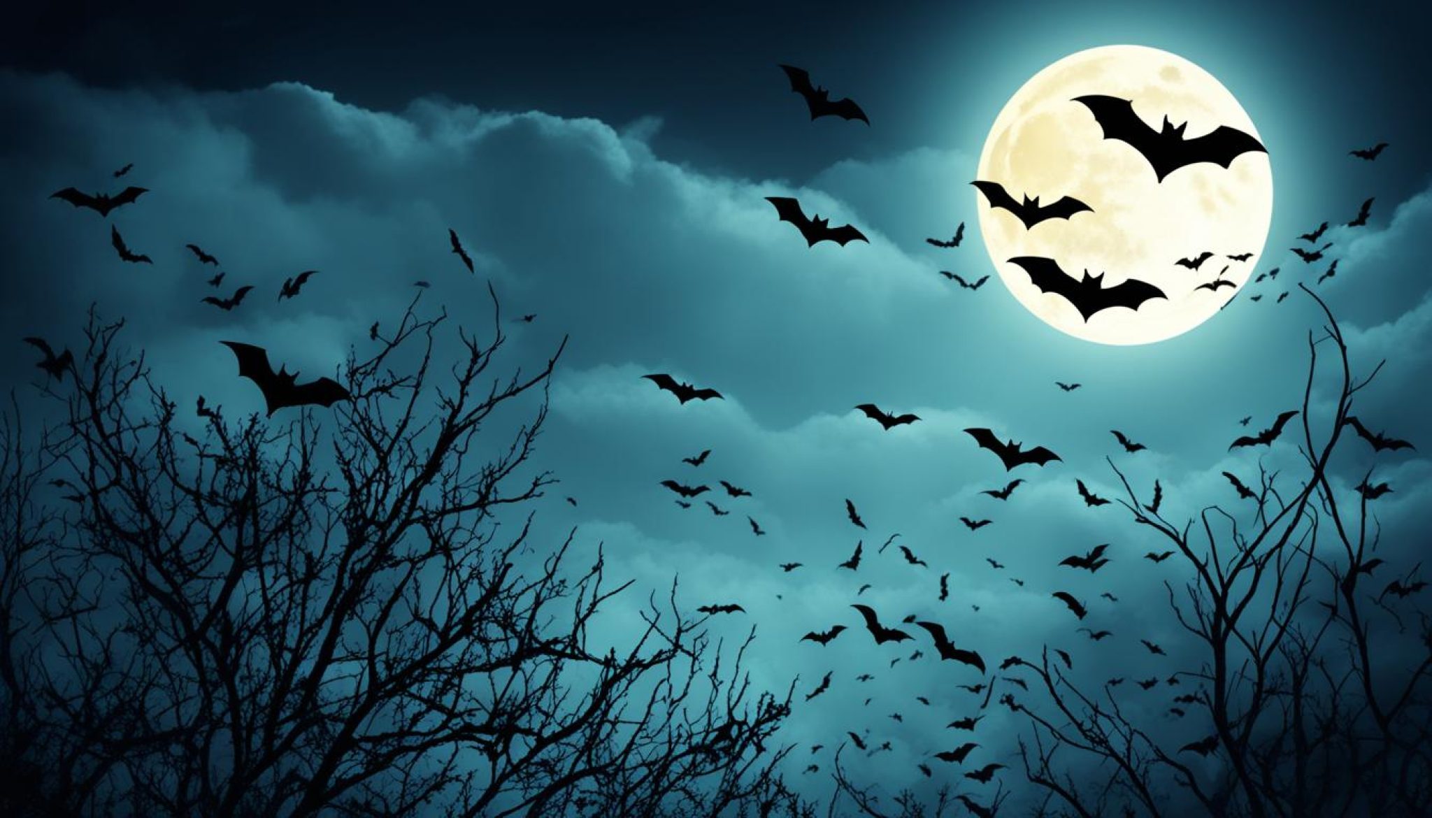 Understanding Bat Symbolism in Spirituality - Spiritual Center